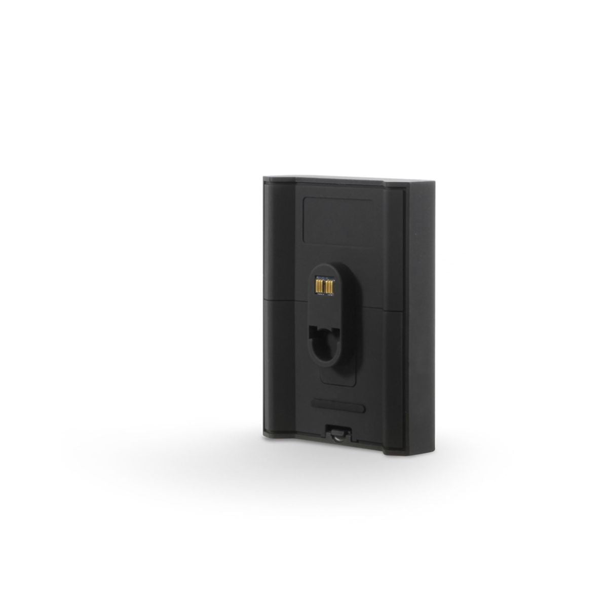 Bluesound BP100 batt pack